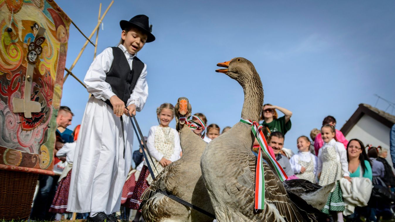 Jól sikerült a Márton-napi felvonulás Nagykozárban