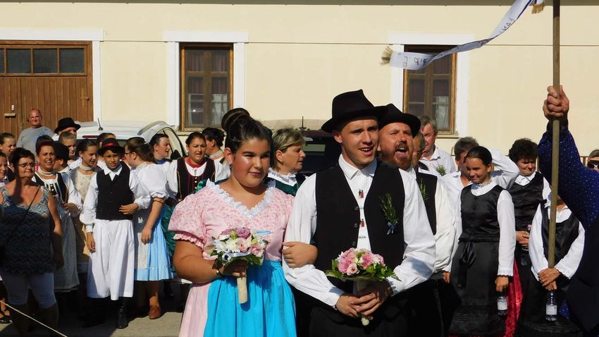 BAMA - Tematikus turisztikai útvonalat alakítanak ki Márok és Novi ...