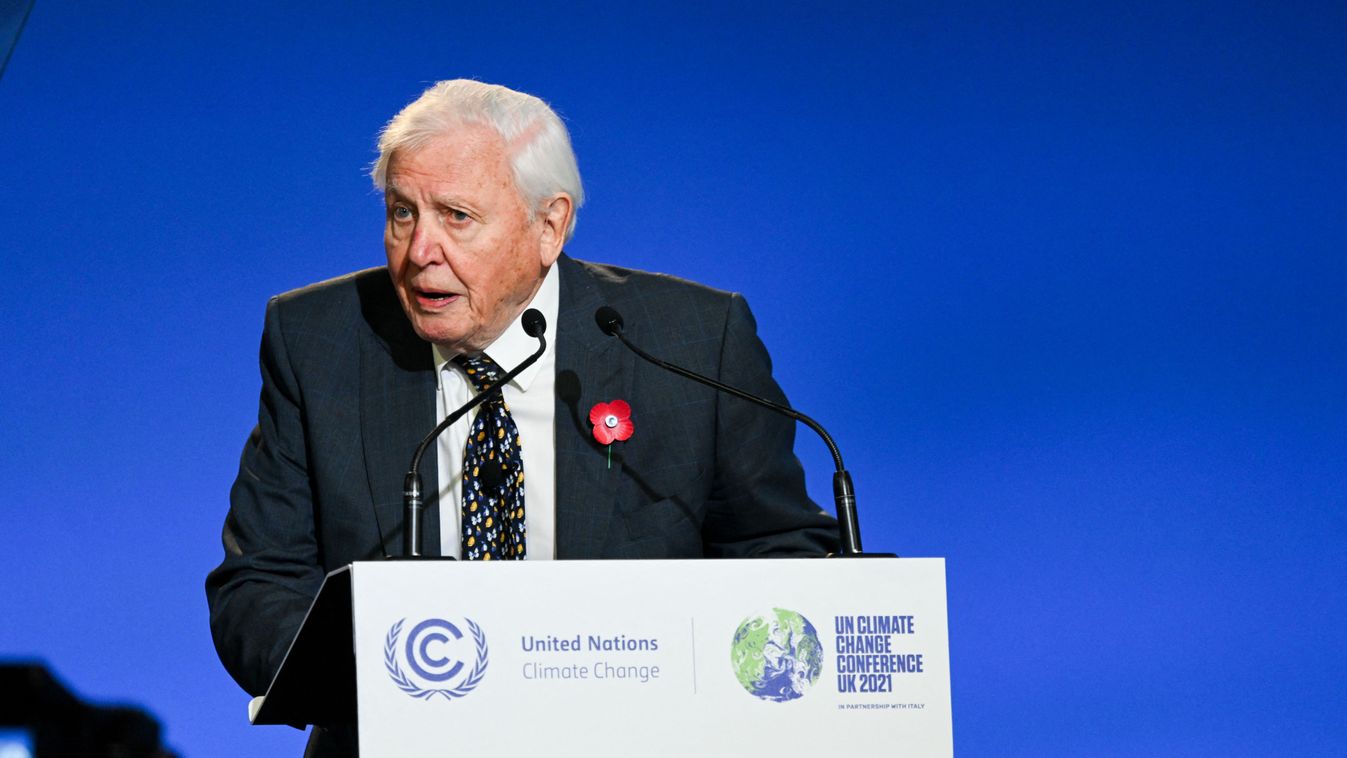 David Attenborough természettudóst a Föld bajnoka címmel tüntette ki az ...