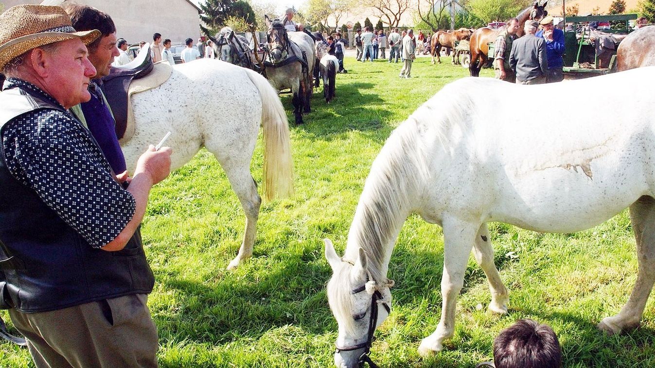 A lovaglást népszerűsítik Husztóton