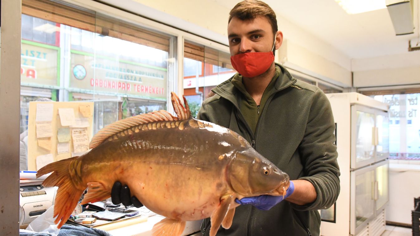 Az időjárás miatt is emelkedett a ponty és a harcsa ára