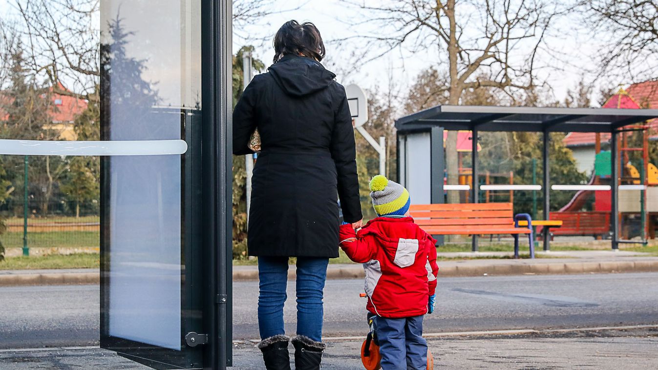 Pusztul a Mecsekoldal - borzalmas tényre hívja fel a figyelmet olvasónk