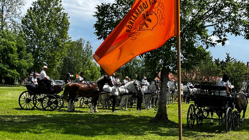 BAMA - Lovas fogatok és brazil táncosok lepték el Királyegyházát