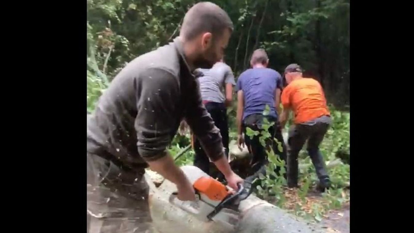 Emberségből jeles: kidőlt fa torlaszolta el az utat, de gyorsan jött a segítség – VIDEÓ
